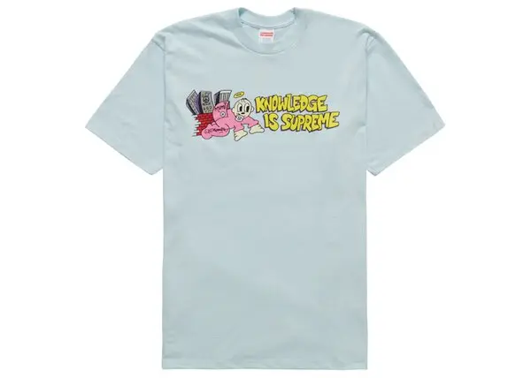 Supreme Knowledge Tee Shirt - Pale Blue