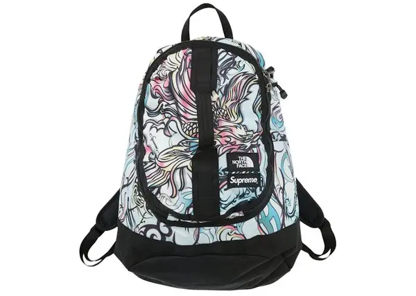 Supreme The North Face Steep Tech Backpack - Multicolor Dragon