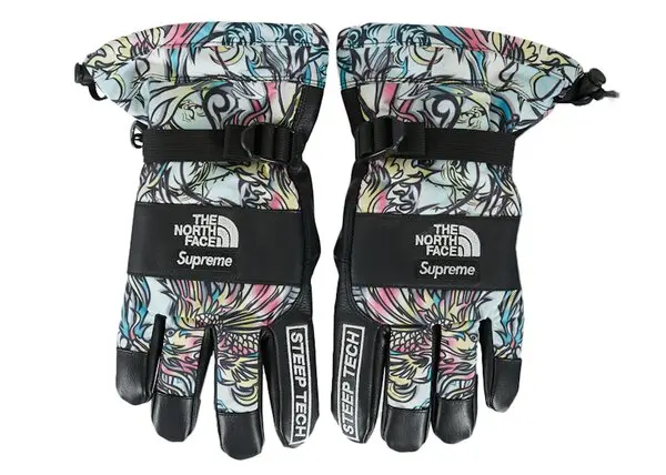 Supreme The North Face Steep Tech Gloves - Multicolor Dragon