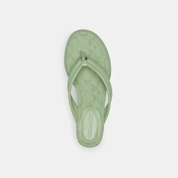 Coach Franki Flip Flop In Signature Jacquard In Pale Pistachio
