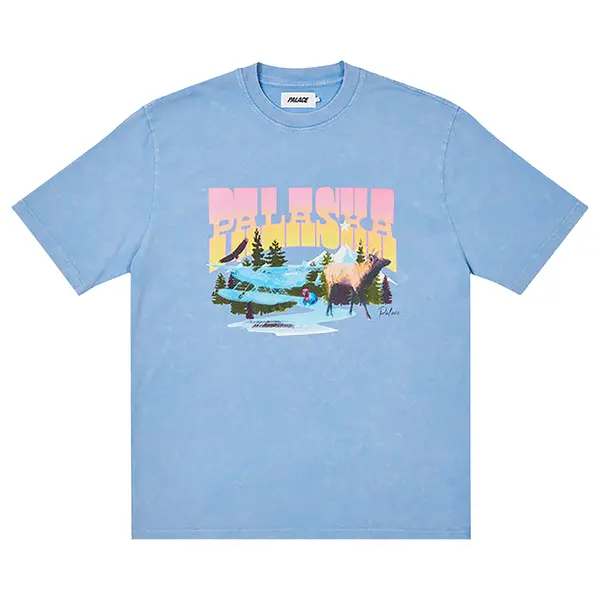 PALACE Palaska Dye T-shirt - Blue