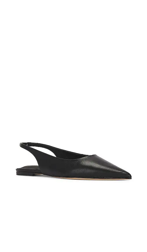 TONY BIANCO Javier Flat