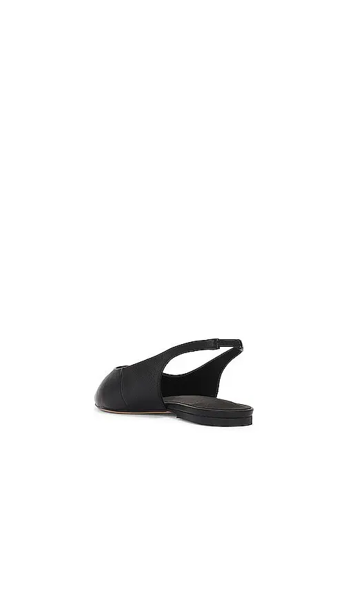 TONY BIANCO Javier Flat