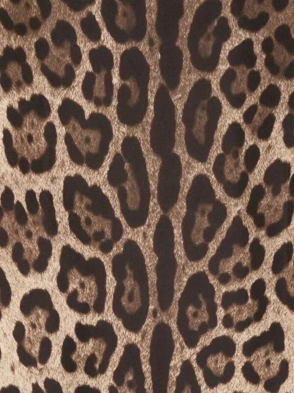 Dolce & Gabbana Leopard-print Silk Scarf - Black