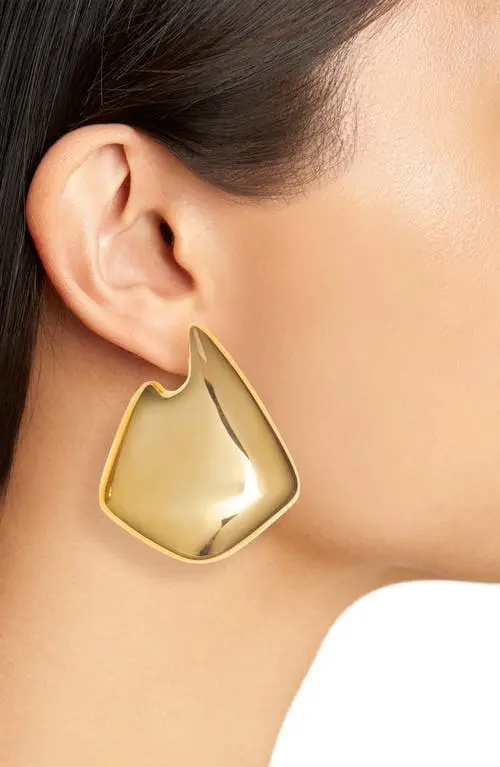 bottega veneta - Bottega Veneta Small Vahuo Fin Earrings