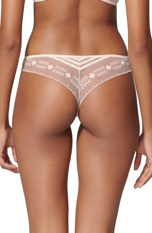 Simone Perele Marthe Embroidered Mesh Tanga