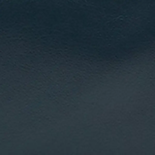 Burberry Swan Shoulder Bag