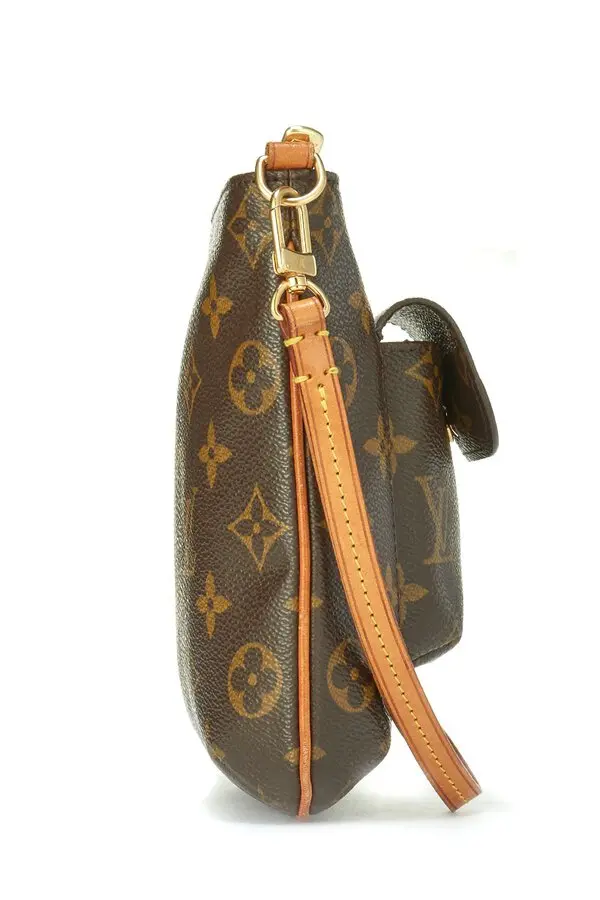 LOUIS VUITTON Monogram Canvas Partition Pouch