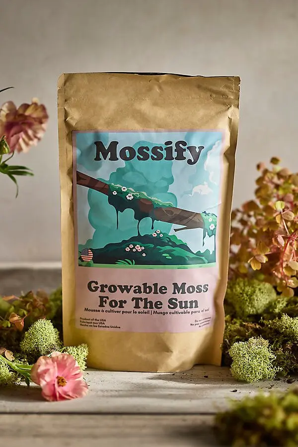 MOSSIFY Growable Moss, Sun - Multicolor