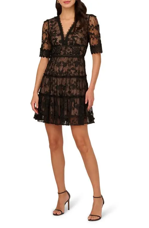 Adrianna Papell Embroidered Lace Minidress