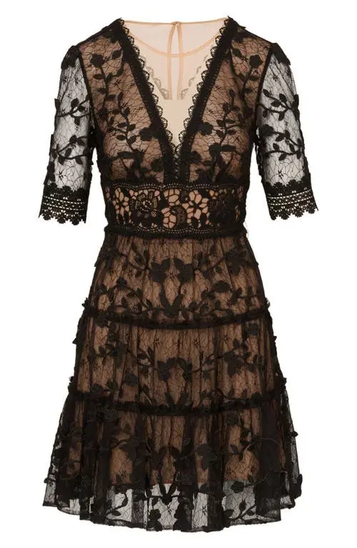 Adrianna Papell Embroidered Lace Minidress