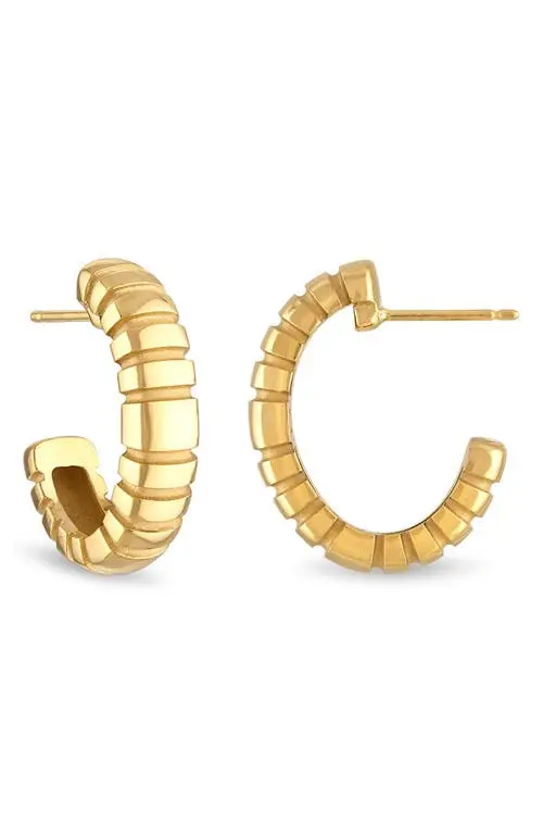 PAMELA ZAMORE Orla Large Oval Hoop Earrings - Gold