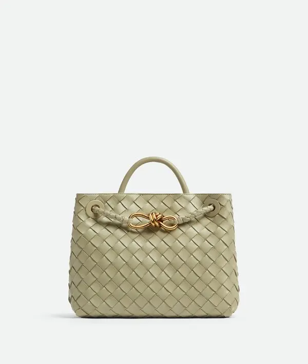 BOTTEGA  VENETA Small Andiamo