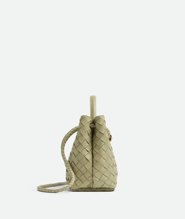 BOTTEGA  VENETA Small Andiamo