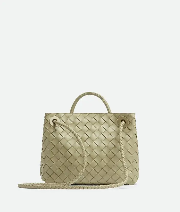 BOTTEGA  VENETA Small Andiamo