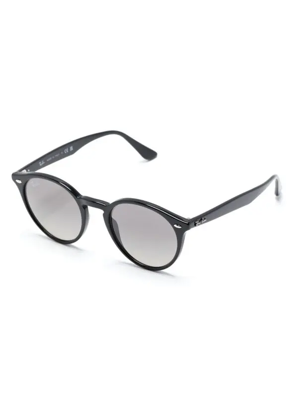 Ray-ban Pantos Frame Sunglasses