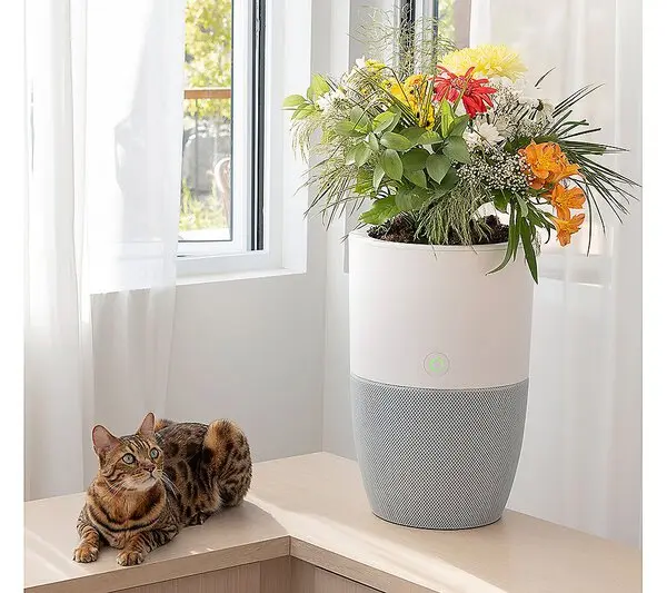 DUPRAY Bloom Air Purifier