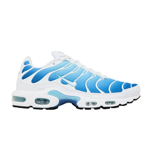 Nike Air Max Plus Sneakers