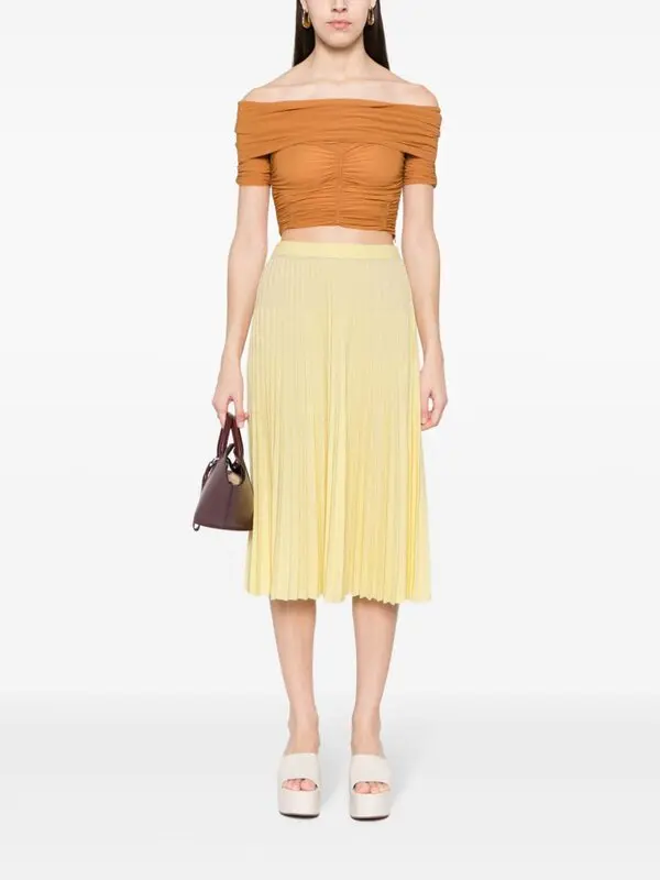 Fabiana Filippi A-line Pleated Skirt