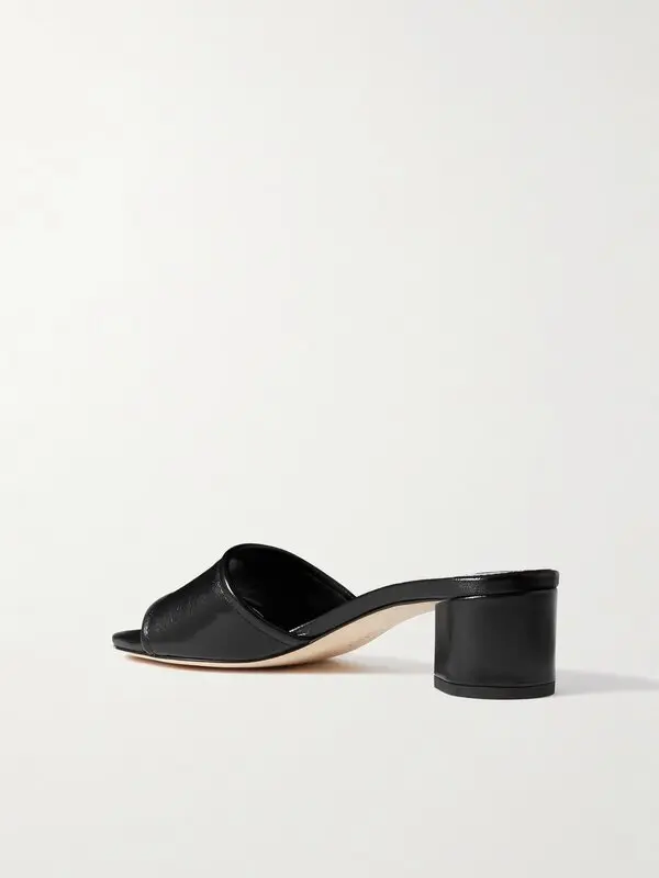AeydĒ Jovia Leather Mules - Black