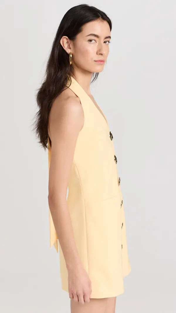 THE WOLF GANG Irida Vest Dress