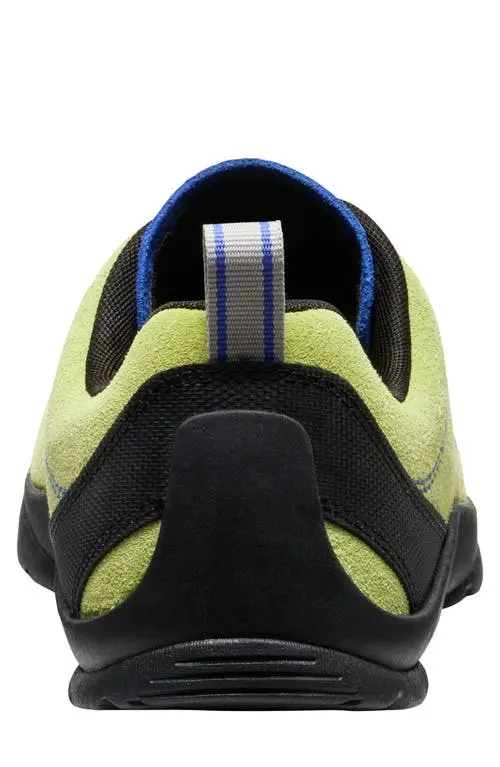 Keen Jasper Low Top Sneaker - Rogue Green/dazzling Blue