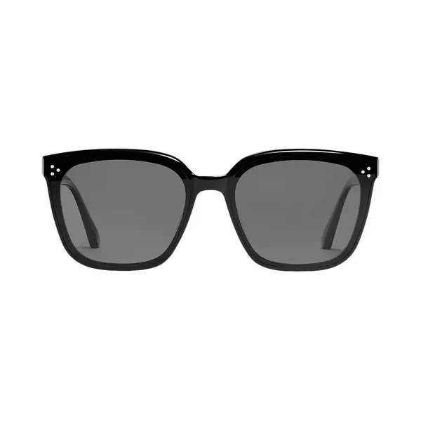 GENTLE MONSTER Palette 01 Sunglasses - Black