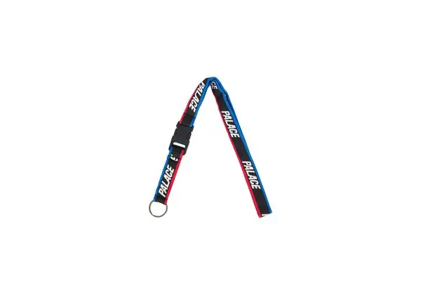 PALACE Basically A Lanyard