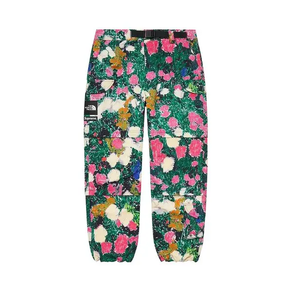 Supreme X The North Face Trekking Zip-off Belted Pant - Multicolor
