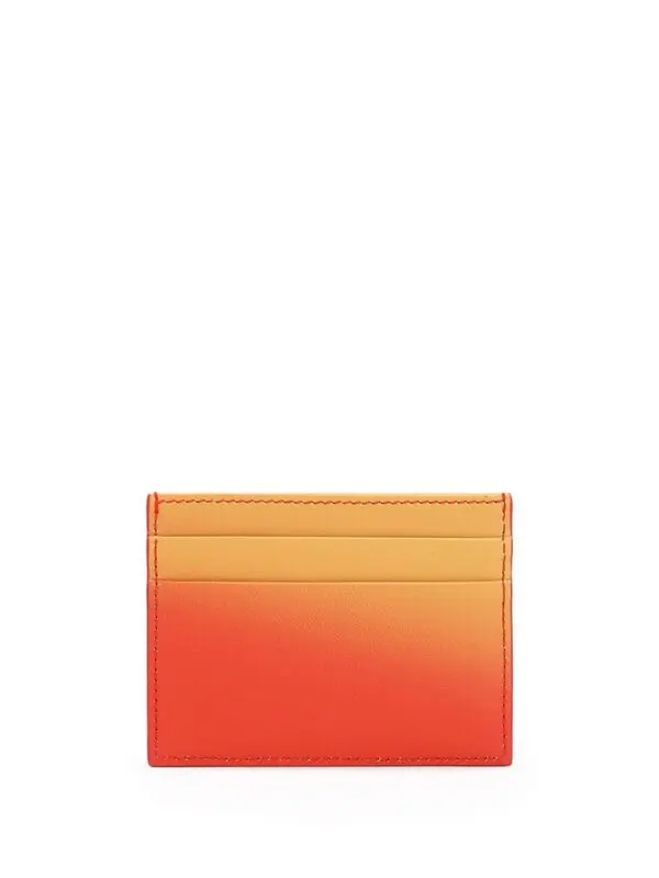 Dolce & Gabbana Dg Logo Leather Card Holder - Orange