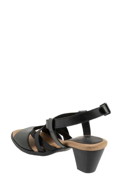 Trotters Meadow Ankle Strap Sandal - Black
