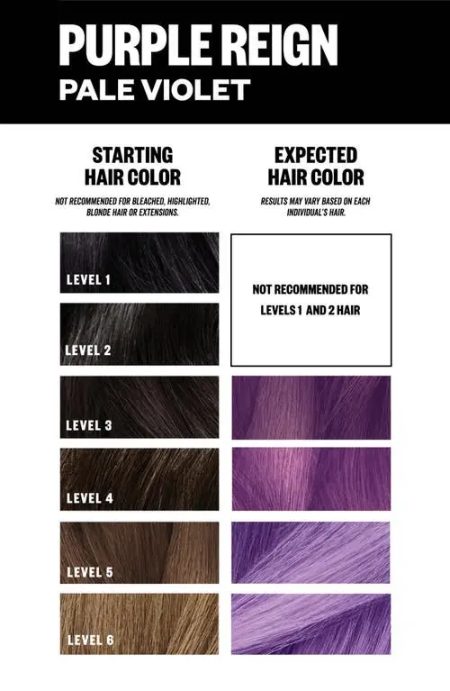 IGK Color Bright One Step Bleach & Color Kitpurple Reign: