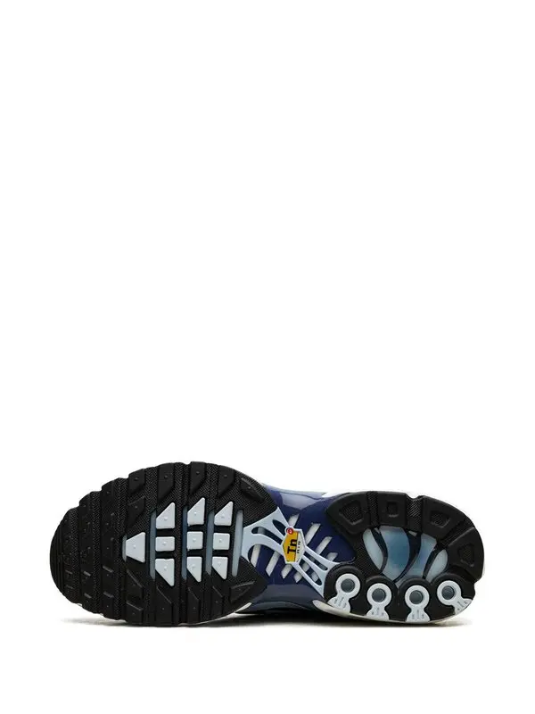 Nike Air Max Plus Celestine Sneakers