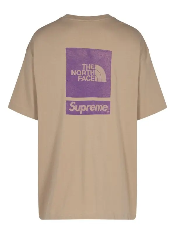 Supreme X The North Face T-shirt - Brown | Editorialist