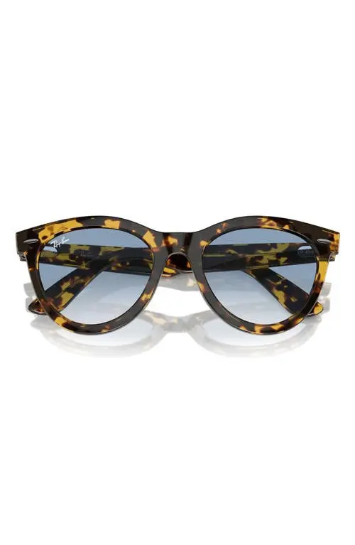 Ray-ban 54mm Oval Sunglasses