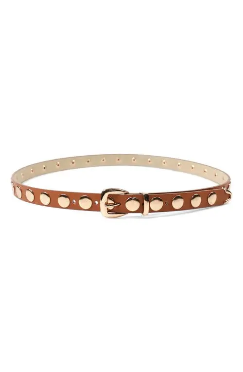 PETIT MOMENTS Disc Stud Belt - Tan/ Gold