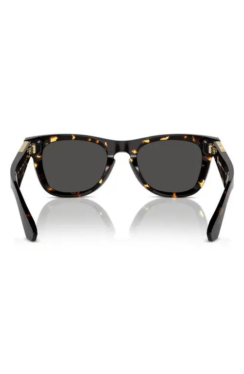 Burberry 50mm Square Sunglasses - Dark Havana