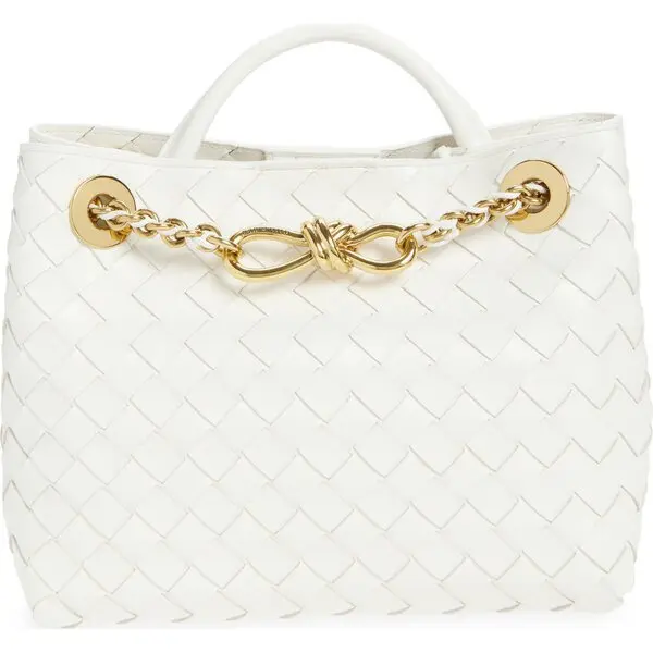 Bottega Veneta Small Andiamo Chain Shoulder Bag - 9537 Alabaster-muse Brass