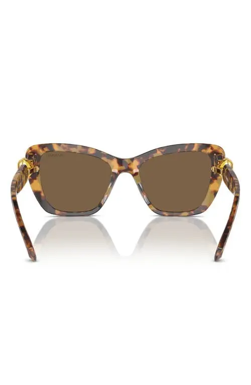 SWAROVSKI 55mm Cat Eye Sunglasses - Dark Brown