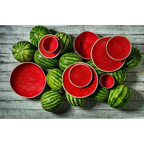 BORDALLO PINHEIRO Watermelon Charger Plate