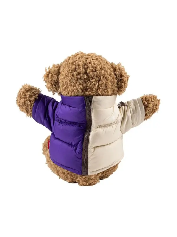 【10→20％OFF】Supreme x The North Face Bear Supreme X The North Face Plush Bear - Brown | Editorialist