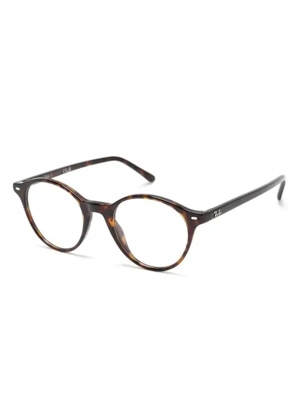 Ray-ban Round-frame Glasses
