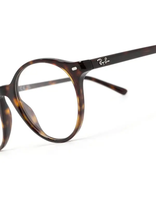 Ray-ban Round-frame Glasses