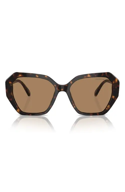 SWAROVSKI 56mm Constella Round Sunglasses - Dark Havana