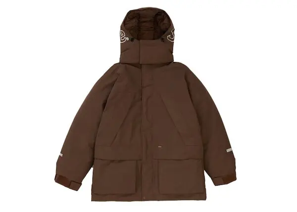 Supreme Gore-tex 700-fill Down Parka