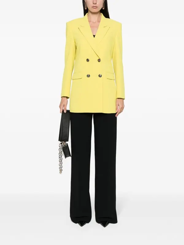 Elisabetta Franchi Double-breasted Blazer - Yellow