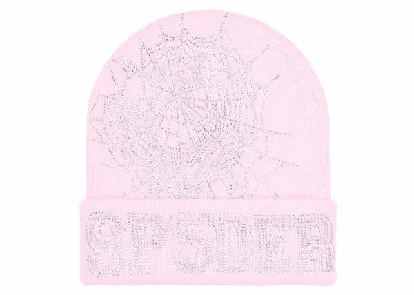 SP5DER Web Beanie - Pink
