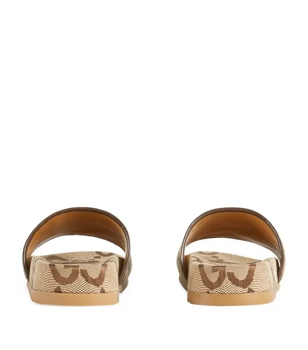 Gucci Gg Canvas Slides