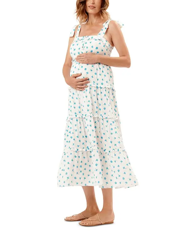NOM MATERNITY Mara Floral Maxi Dress - Blue Floral