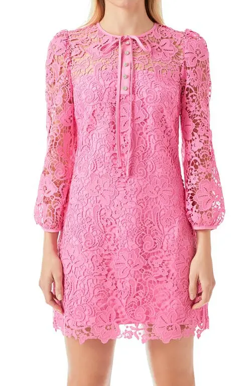Endless Rose Lace Mini Dress